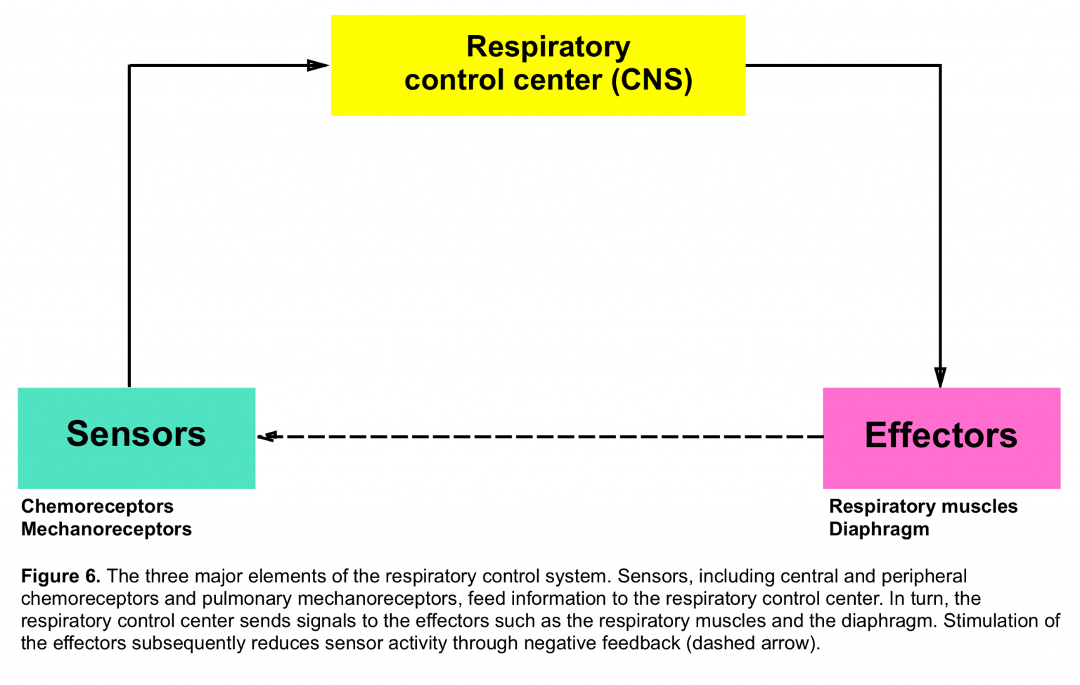 Adult Respiratory Distress: ABCs of Oxygenation and Ventilation | RECAPEM